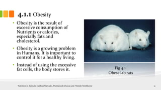 Nutrition in animals | PPTX