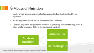Nutrition in animals | PPTX