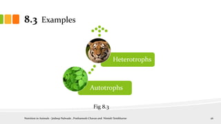 Nutrition in animals | PPTX