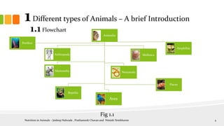 Nutrition in animals | PPTX