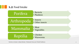 Nutrition in animals | PPTX