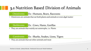 Nutrition in animals | PPTX