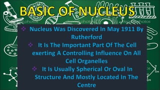 Nucleus | PPTX