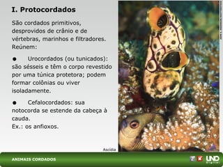 Biologia ppt14 | PPT