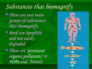 Bio ppt ananya jain | PPT