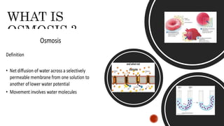 Osmosis | PPTX