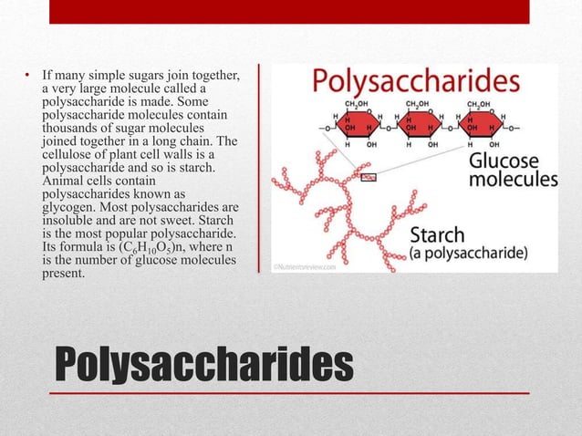 Carbohydrates (Carbs) - GCSE Biology | PPTX | Endocrine and Metabolic ...
