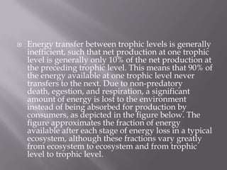 efficency of trophic levels | PPTX