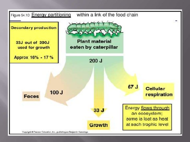 How To Calculate Efficiency Biology Haiper how-to-calculate-efficiency-biology-haiper
