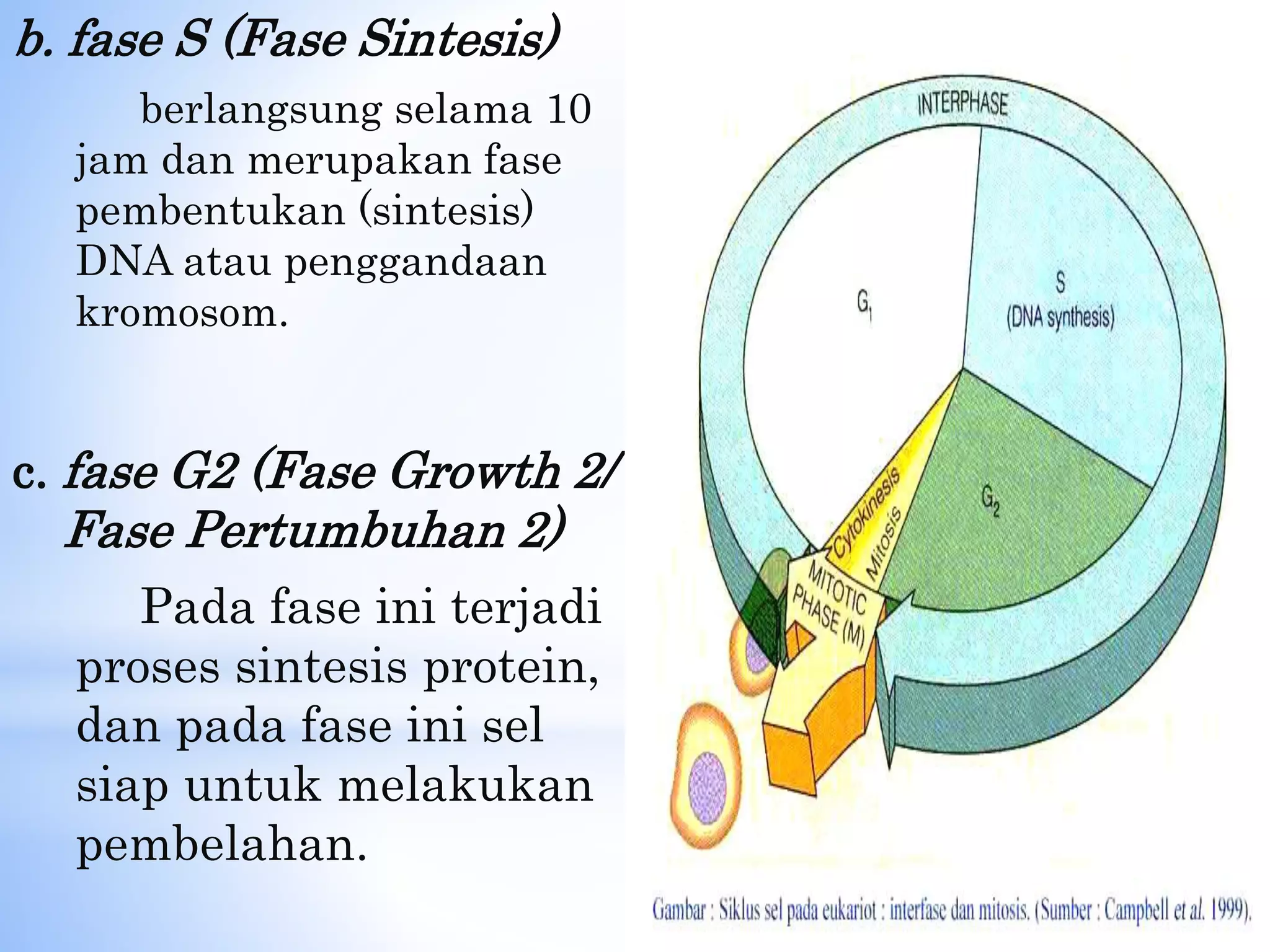 Pembelahan Sel | PPTX