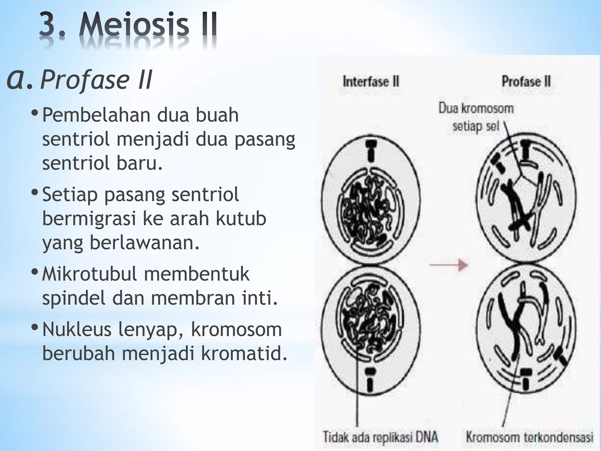 Pembelahan Sel | PPTX