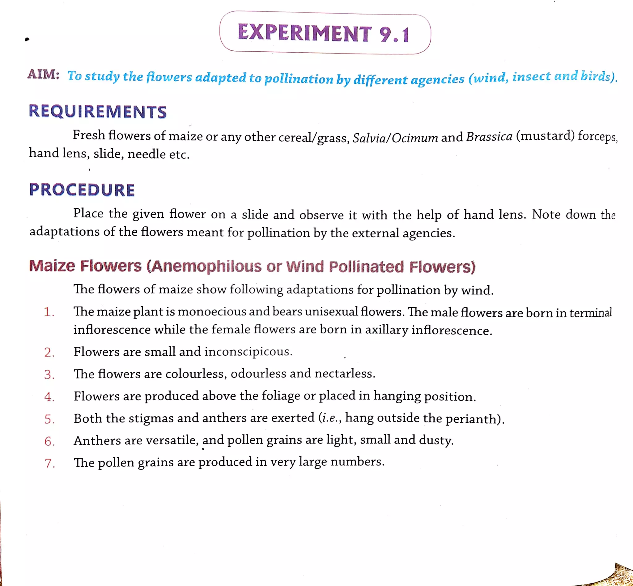 Bio Prac 1, 29 Apr.pdf
