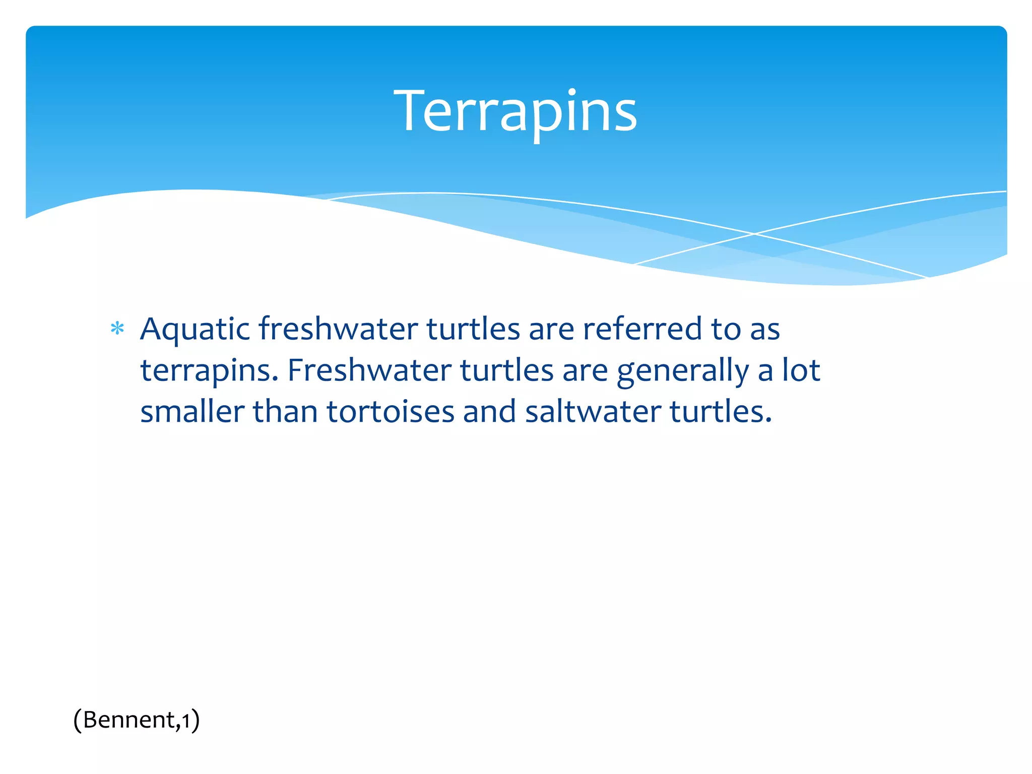 Fresh Water Turtles | PPTX