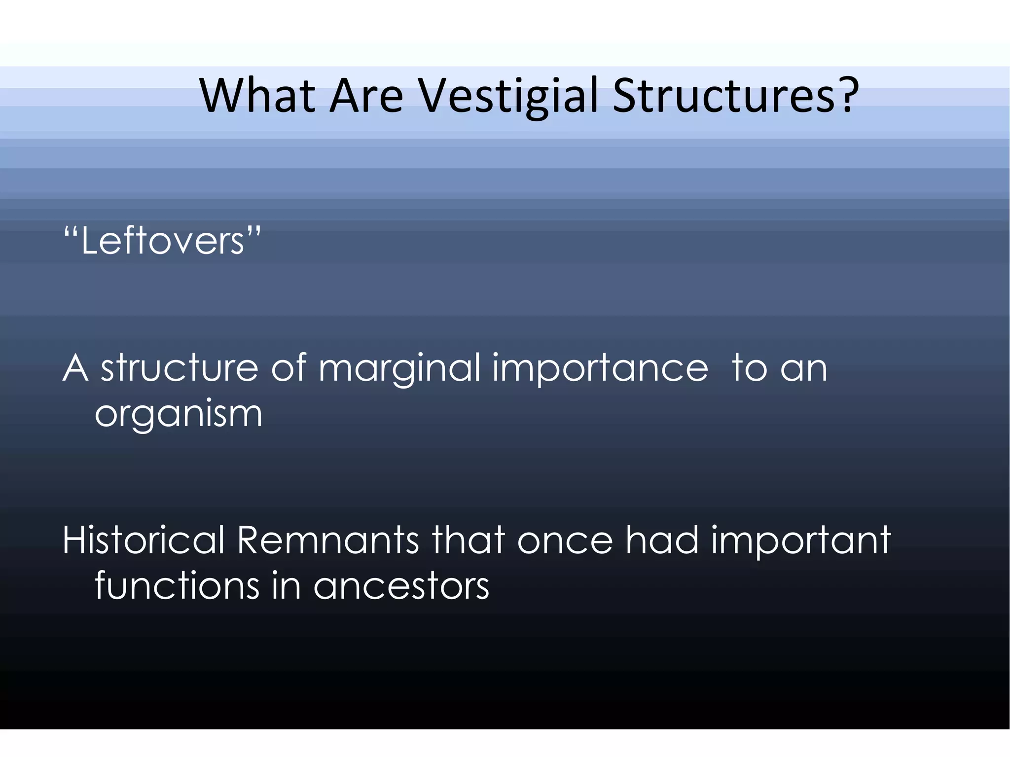 Vestigial Structures | ODP