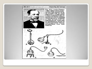 cosmozoic theory | PPTX