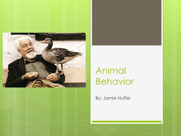 Animal Behavior Lab | PPTX