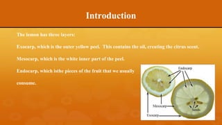 Bio presentation | PPTX