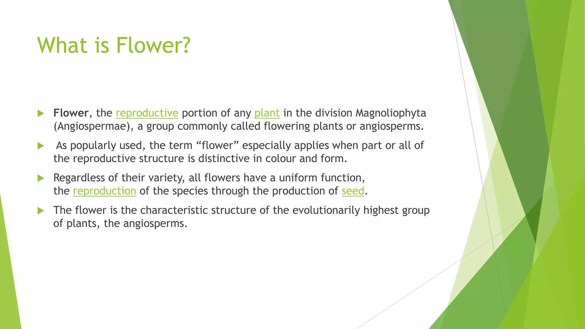 fertilisation in angiosperms | PPTX