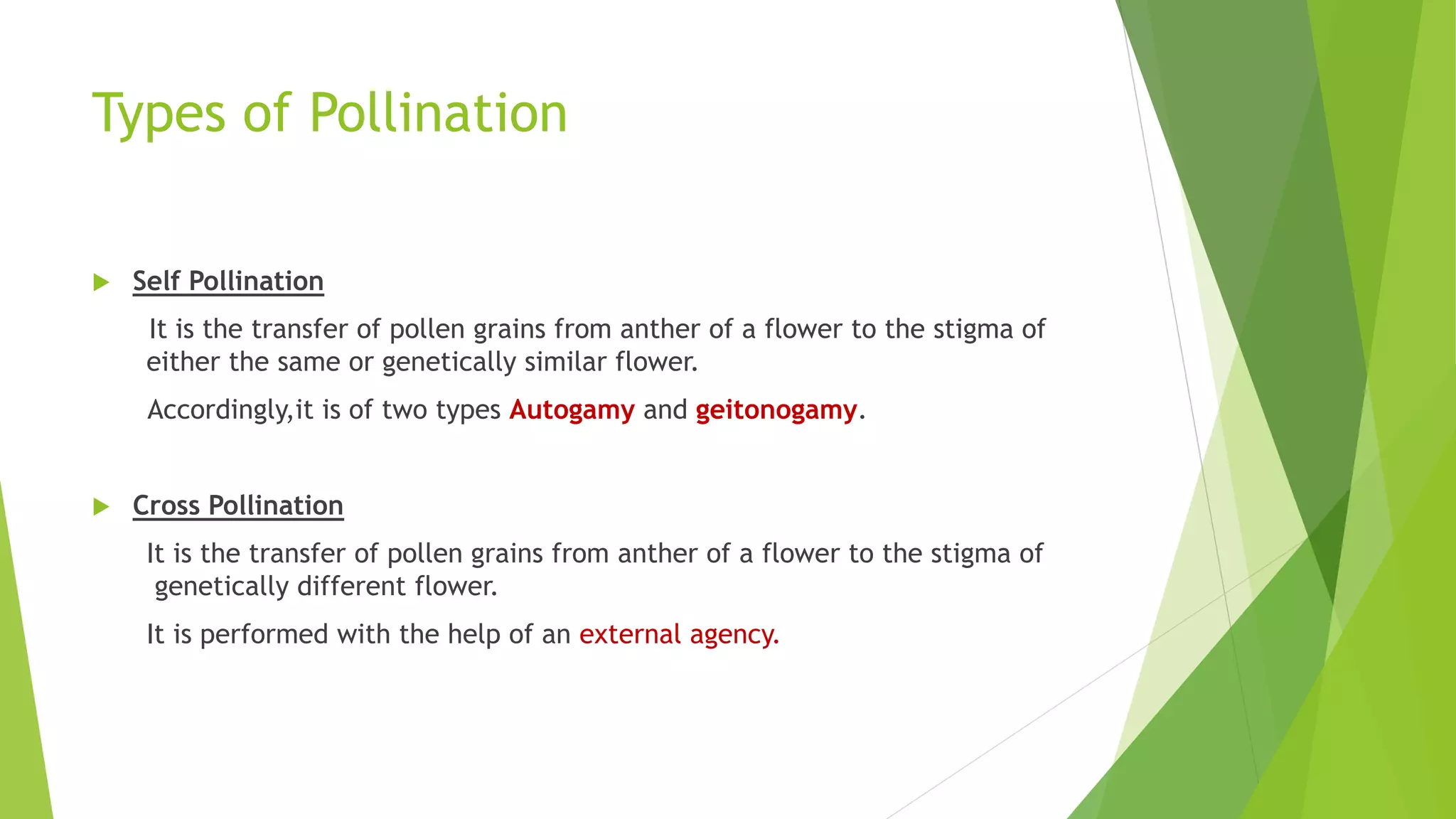 fertilisation in angiosperms | PPTX