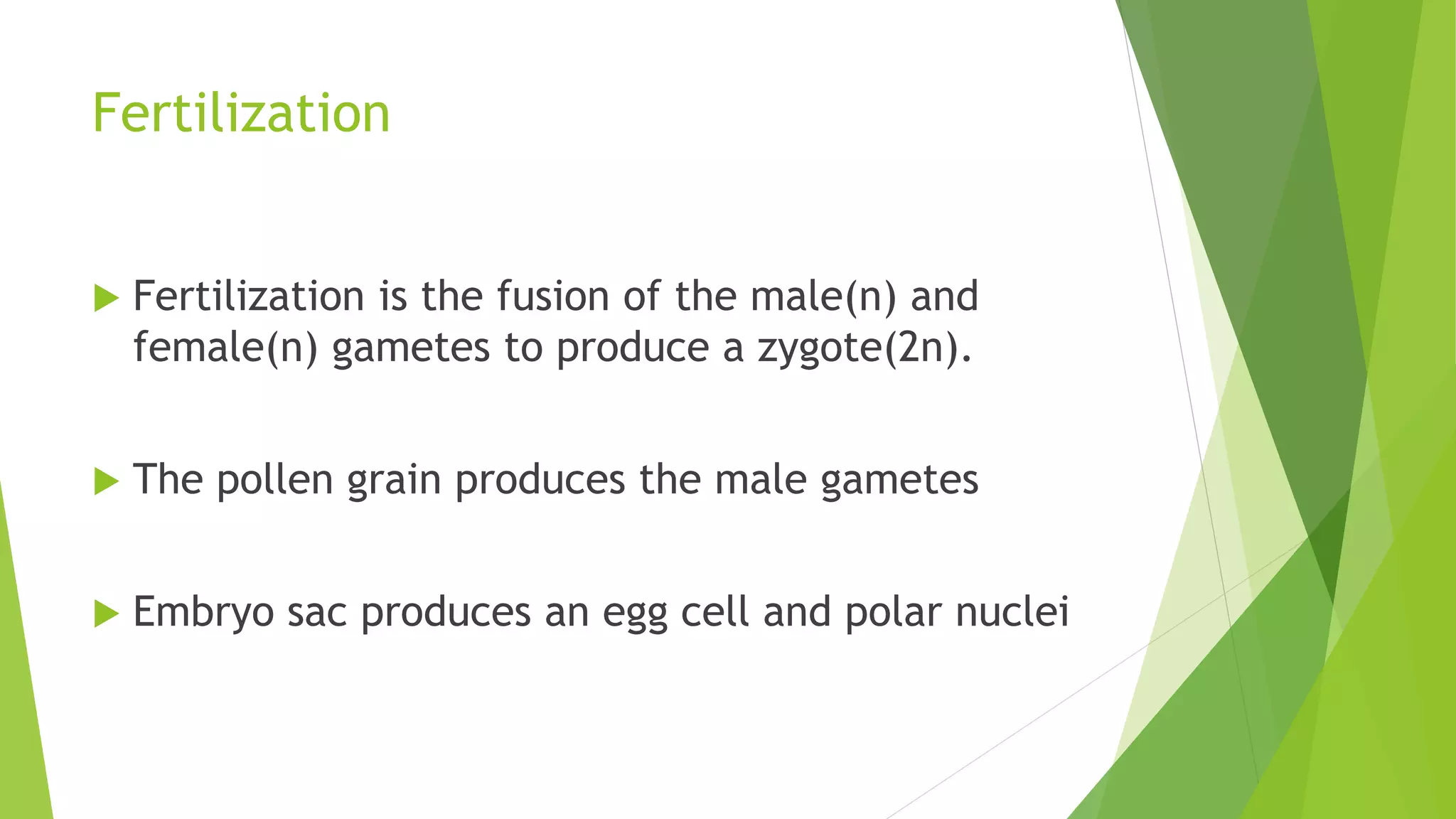fertilisation in angiosperms | PPTX