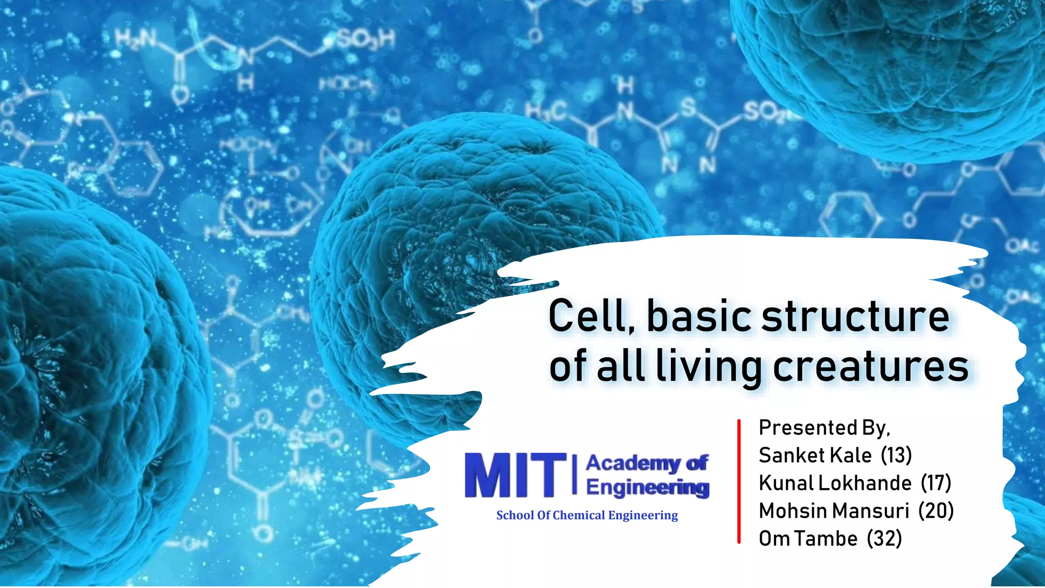 Bio_Presentation.pptx