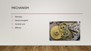 bio presentation.pptx