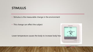 bio presentation.pptx