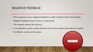 bio presentation.pptx