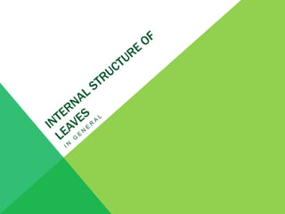 Bio presentation (internal structures of leaves) | PPTX