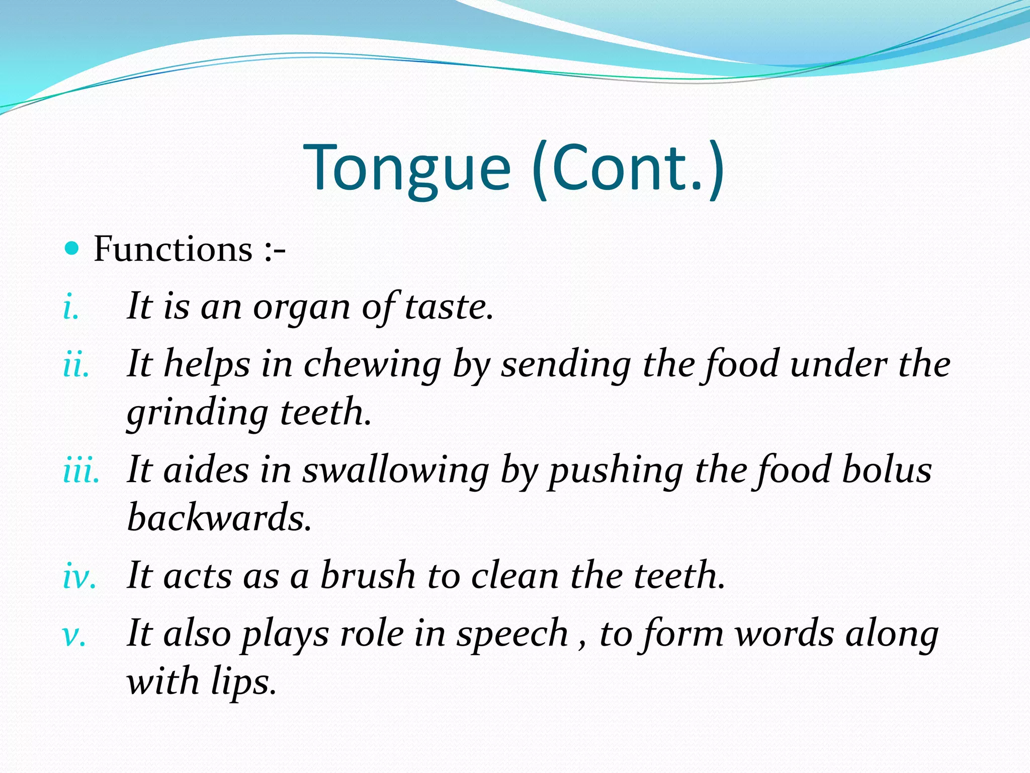 Bio presentation on buccal cavity | PPTX