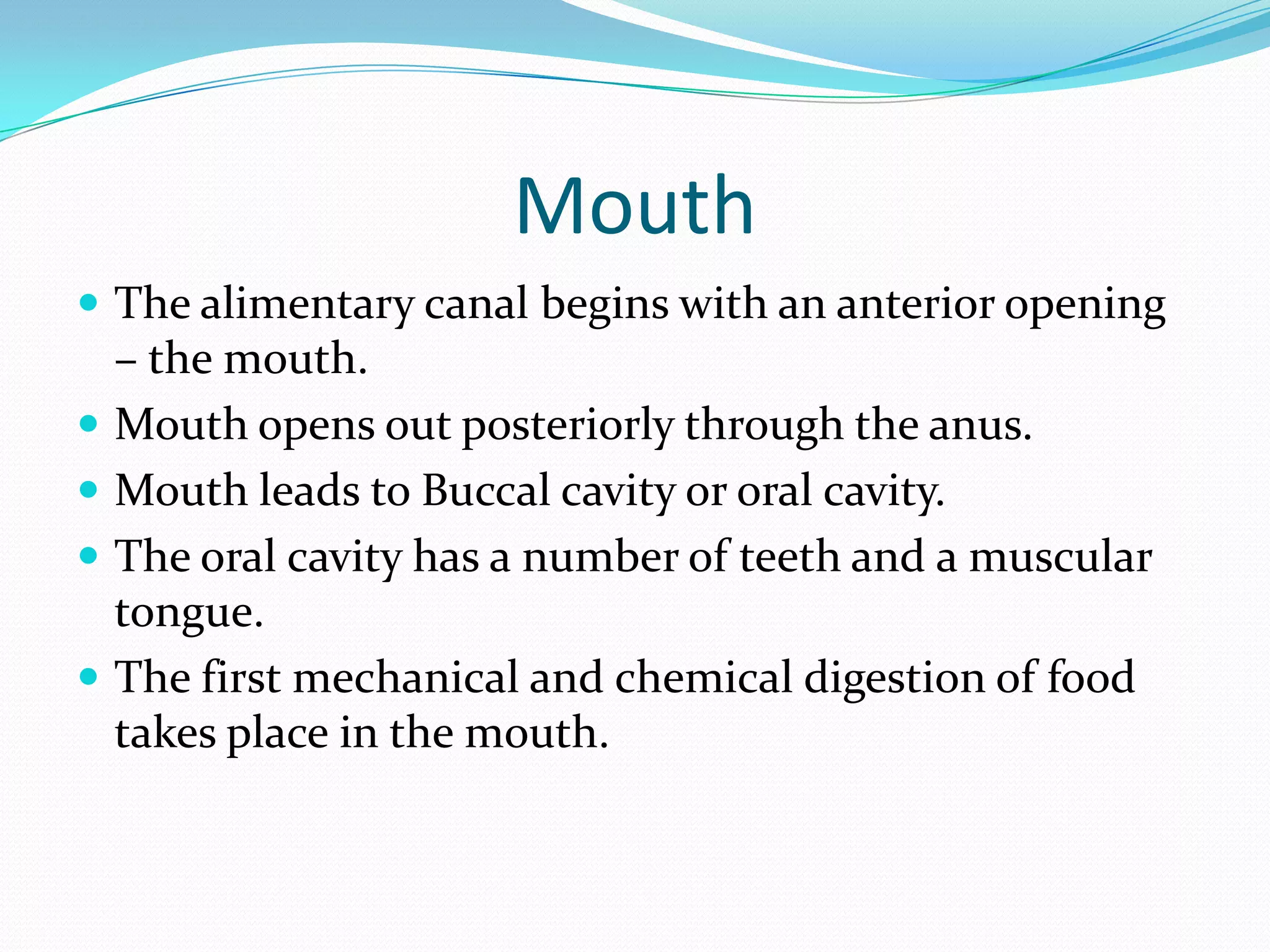 Bio presentation on buccal cavity | PPTX