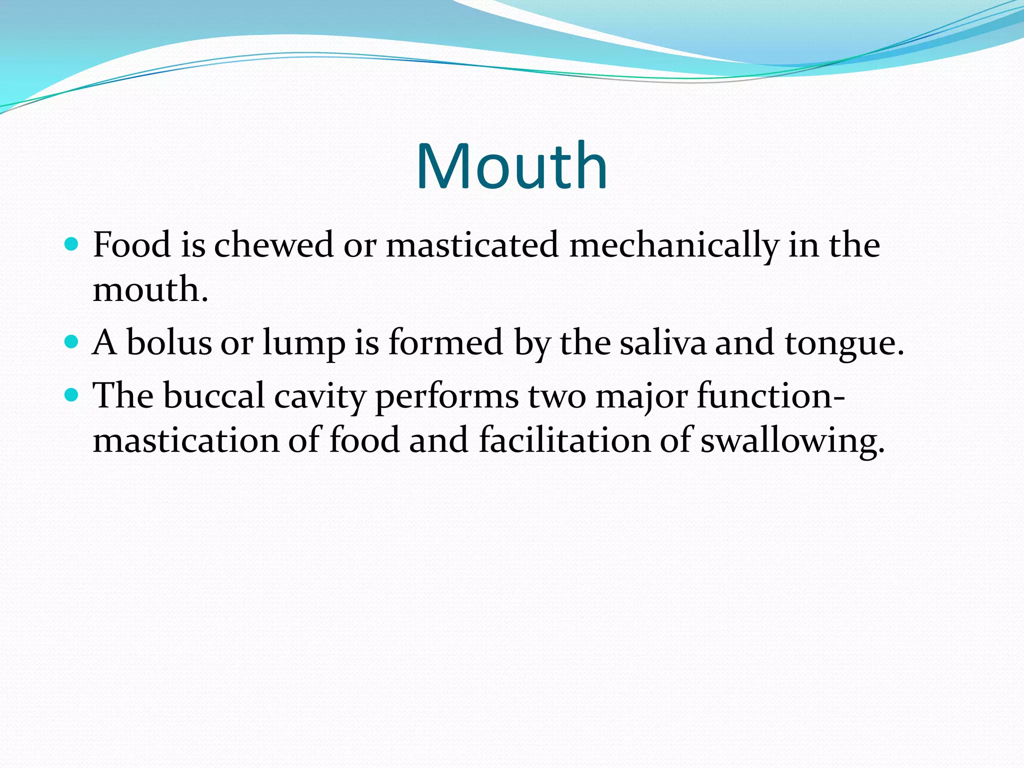 Bio presentation on buccal cavity | PPTX