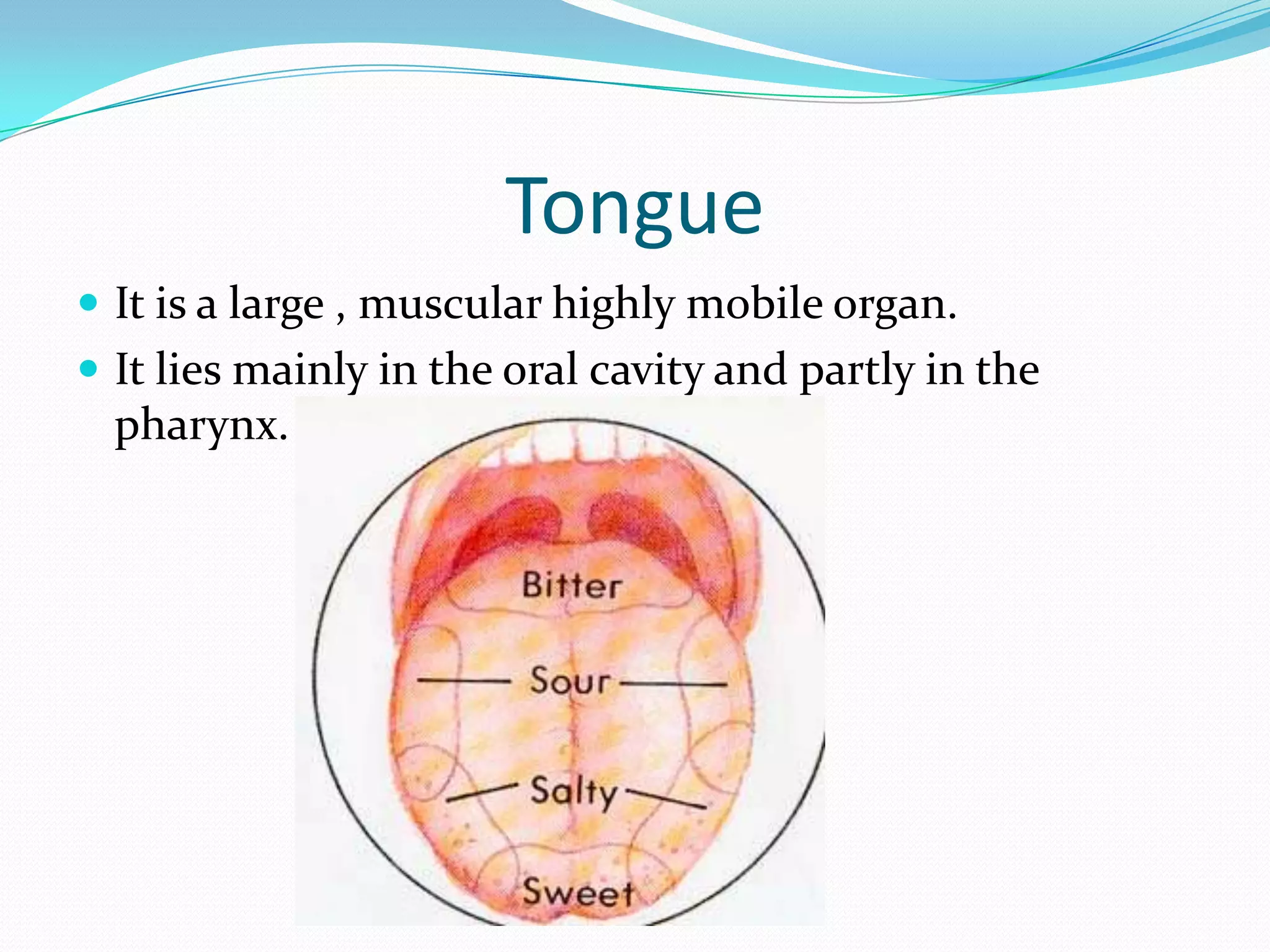 Bio presentation on buccal cavity | PPTX