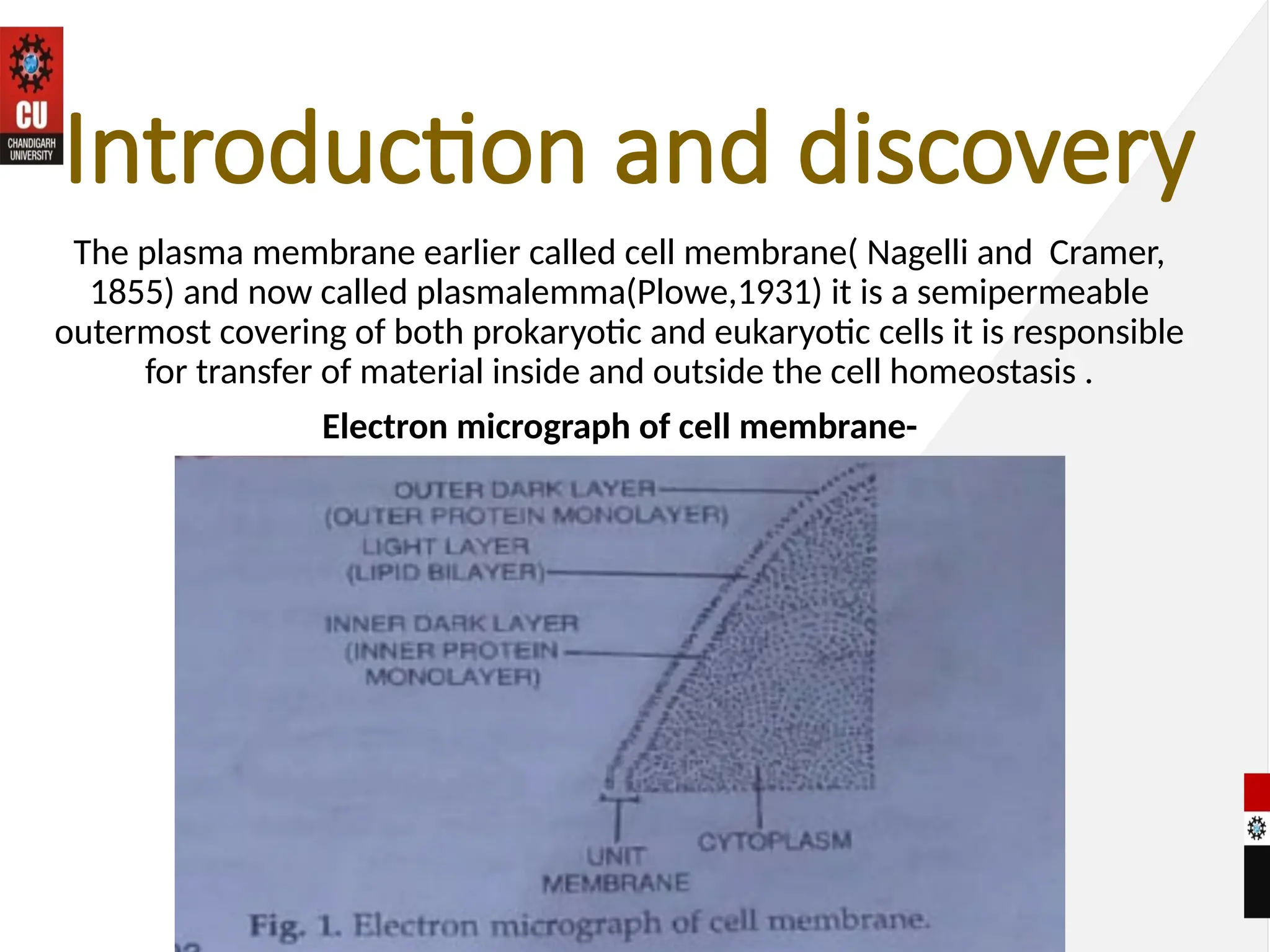 BIO PRESENTATION harsh described about fluid mosaic model of plasma ...