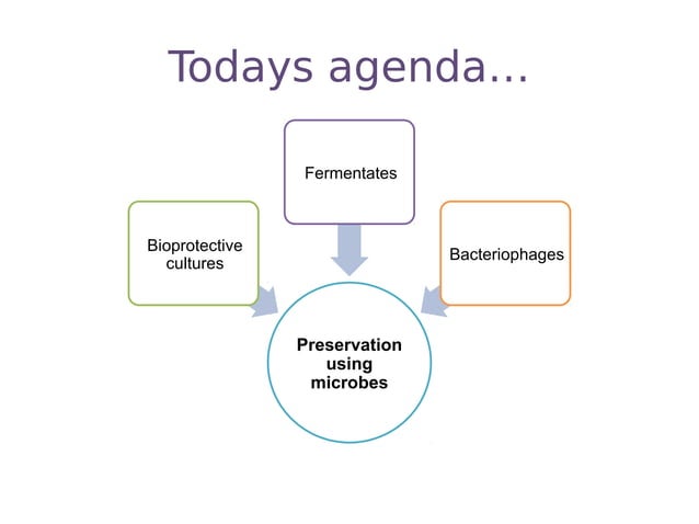 Biopreservatives | PDF | Chemistry | Science