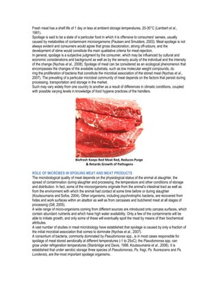 Biopreserve meat | DOC