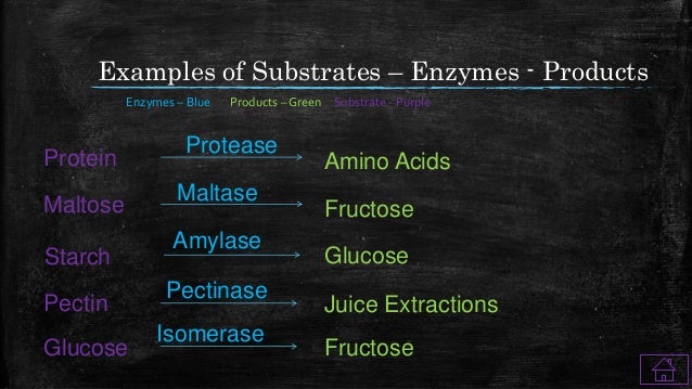 enzymes,substrate,products