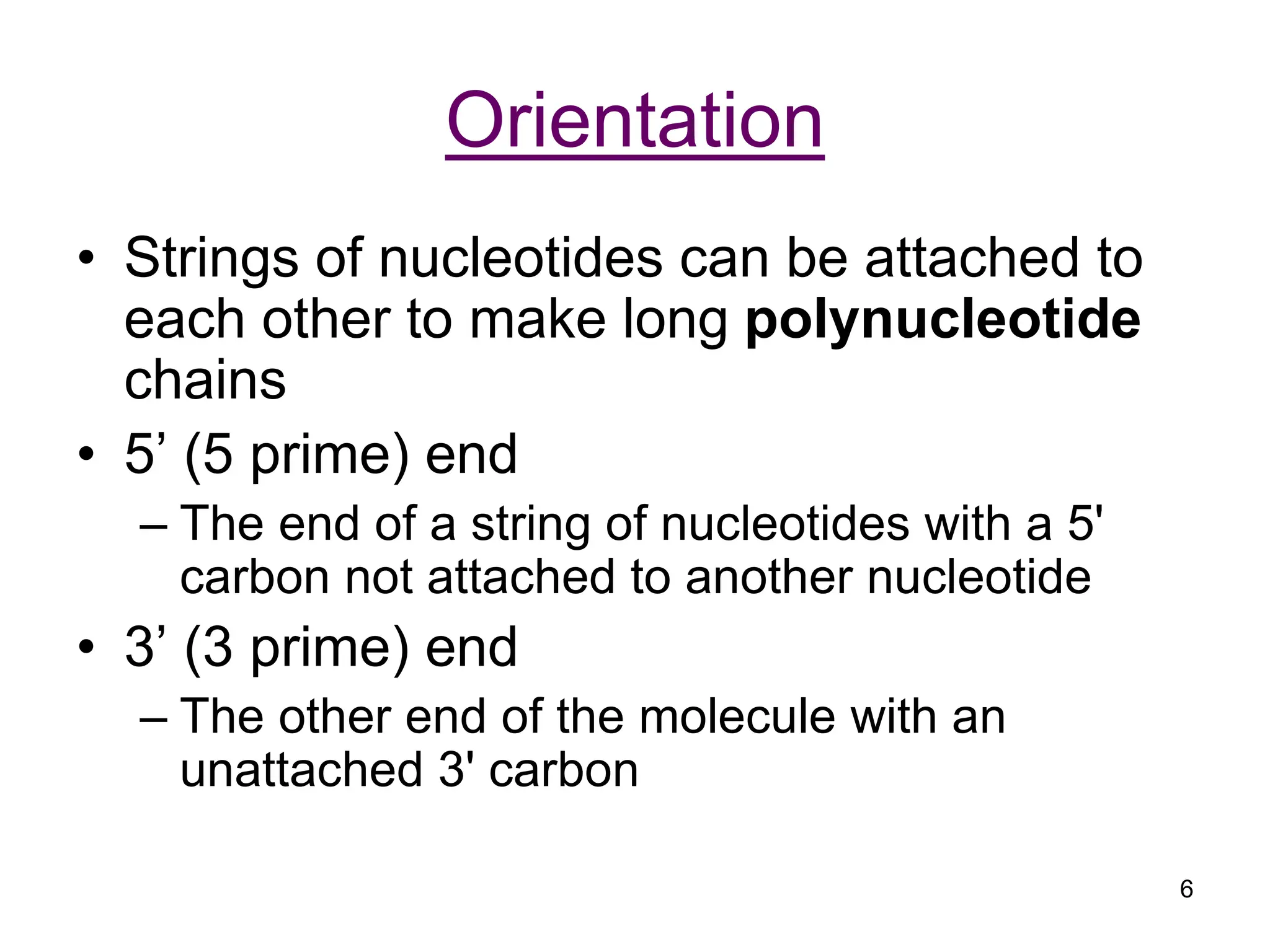 Introduction to Bioinformatics Molecular Biology Primer | PPT