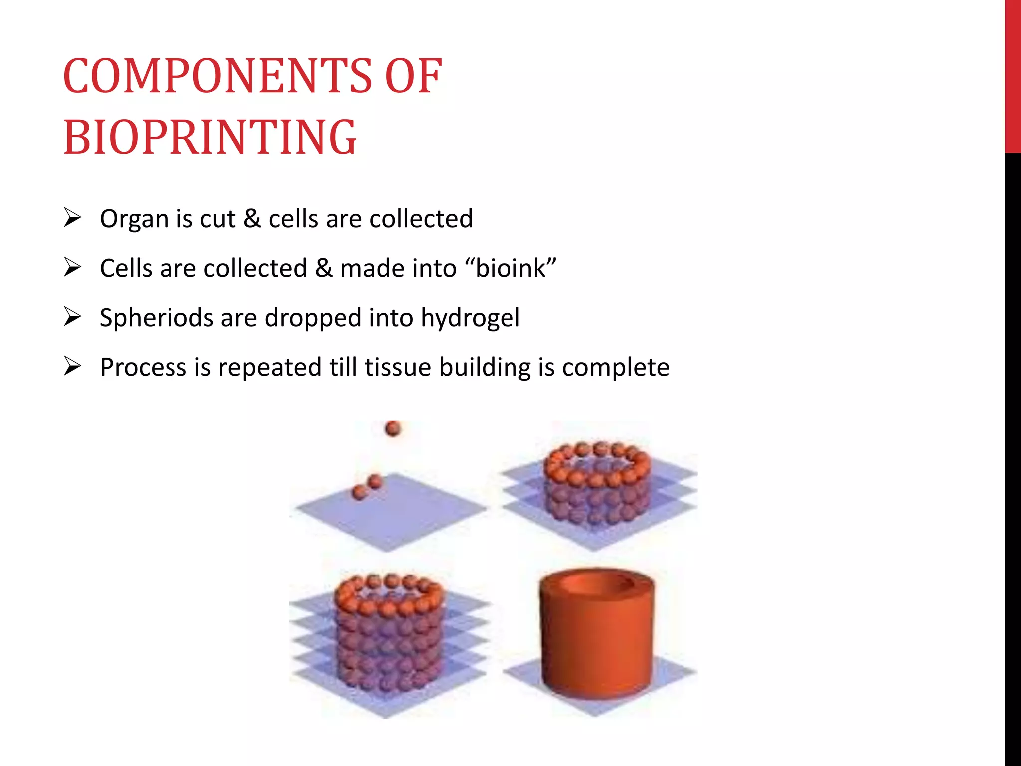 Bioprinting | PPTX