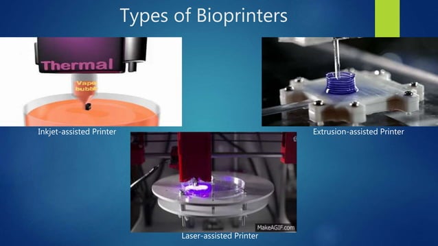 Bioprinting | PPT | Biotech and Biomedical Industry | Industries