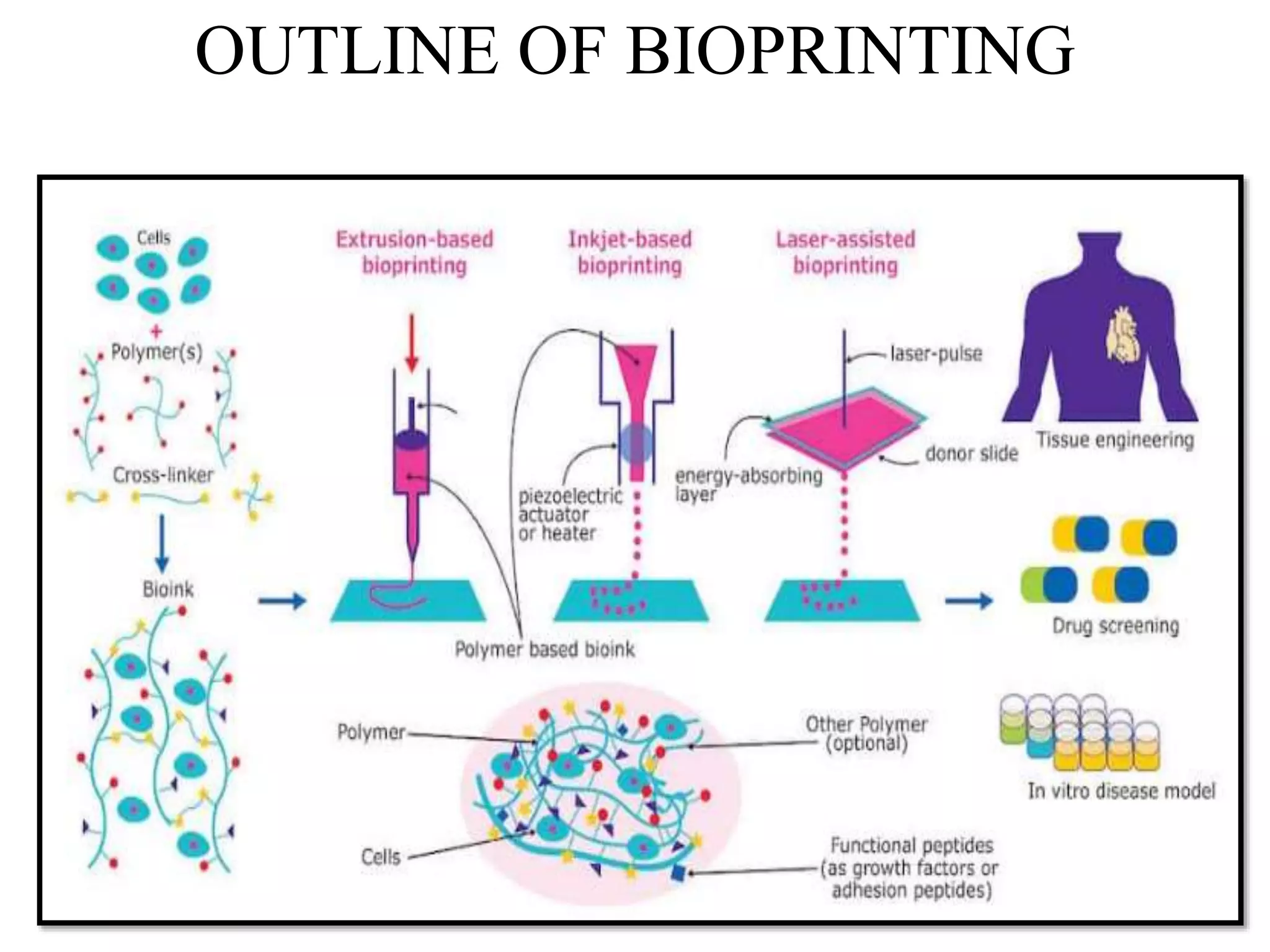 Bioprinting | PPTX