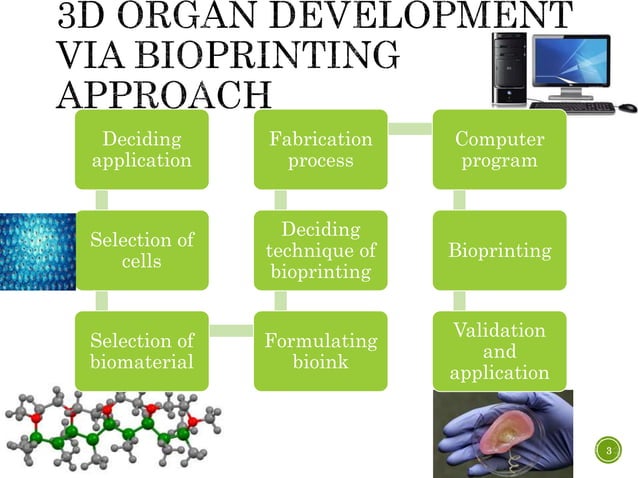 Bio Printing and Bio Inks | PDF