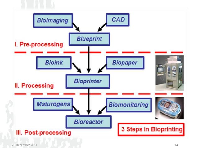 Bioprinting | PPTX