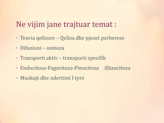 Teoria Qelizore + Muskujt | PPSX