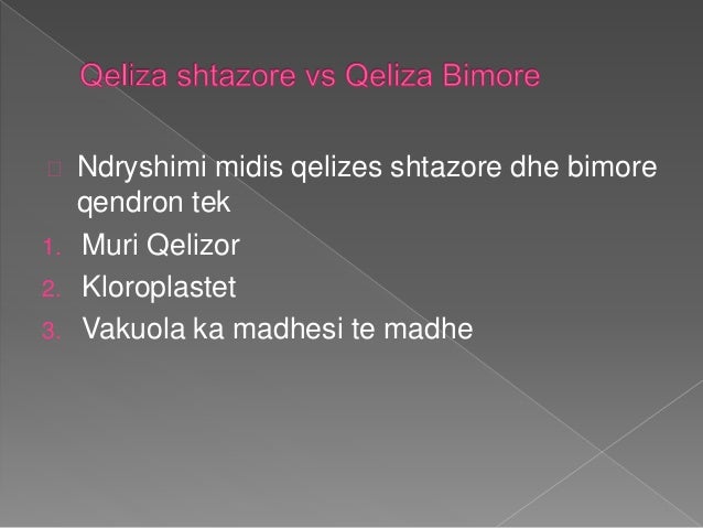 Teoria Qelizore + Muskujt