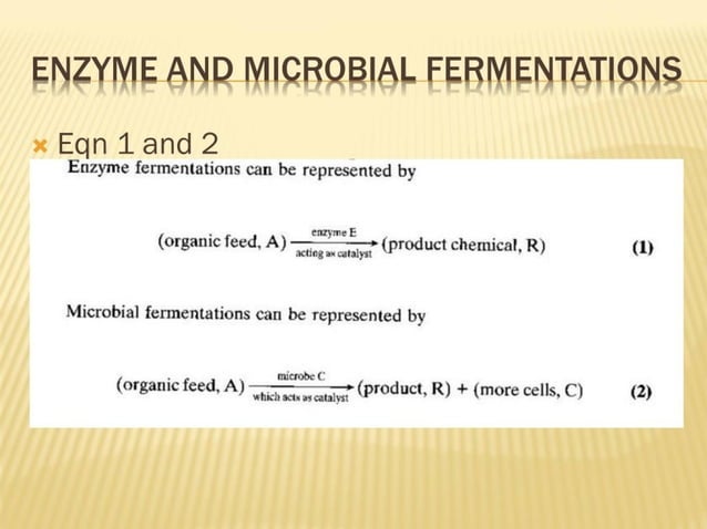 Bioprocess And Bioreactor Presentation Pdf