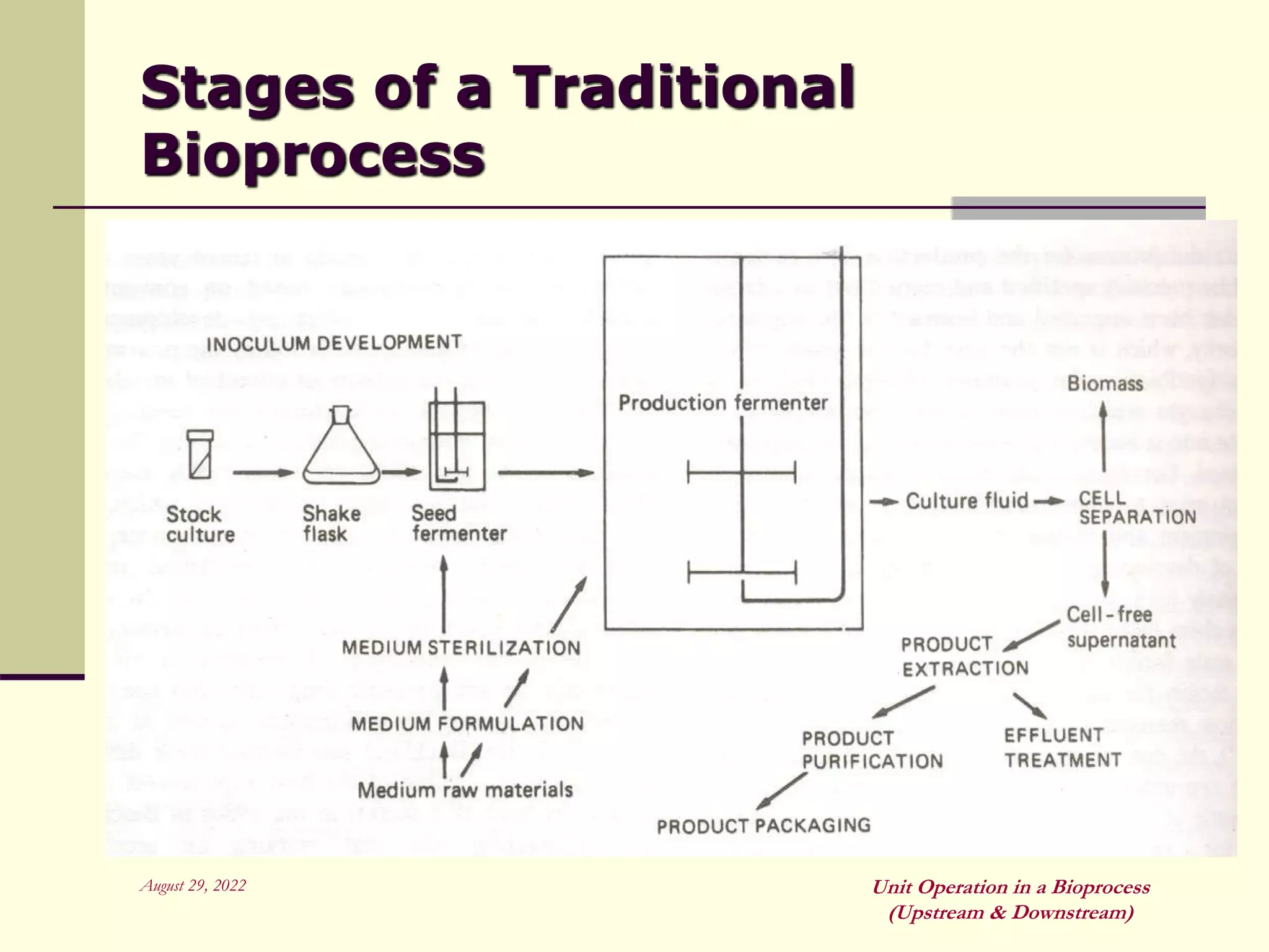 Bioprocess basic principles ppt.ppt