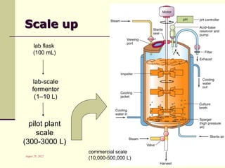Bioprocess basic principles ppt.ppt