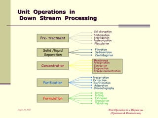 Bioprocess basic principles ppt.ppt