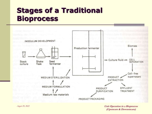 Bioprocess basic principles ppt.ppt
